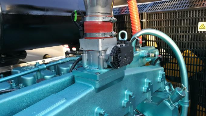 50/60Hz Open Type Methane Generator Biogas Generator 80kw