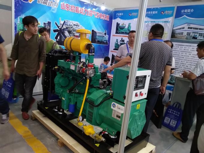 50/60Hz Open Type Methane Generator 350kVA Biogas Generator