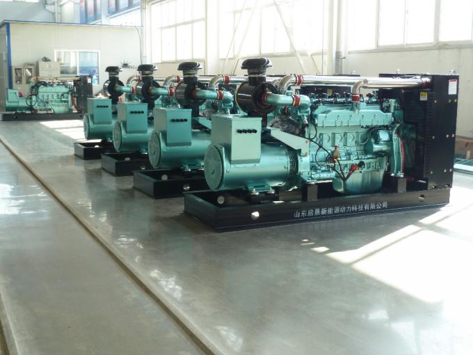 50/60Hz Open Type Methane Generator 350kVA Biogas Generator