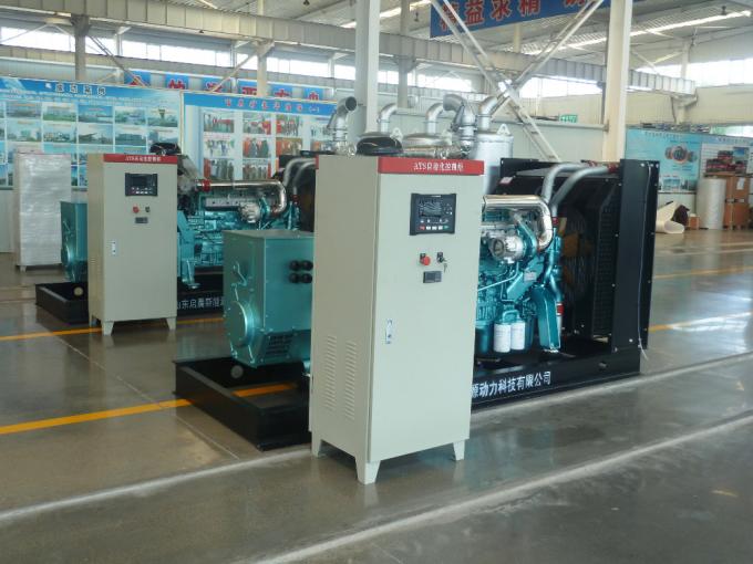 50/60Hz Open Type Methane Generator 350kVA Biogas Generator